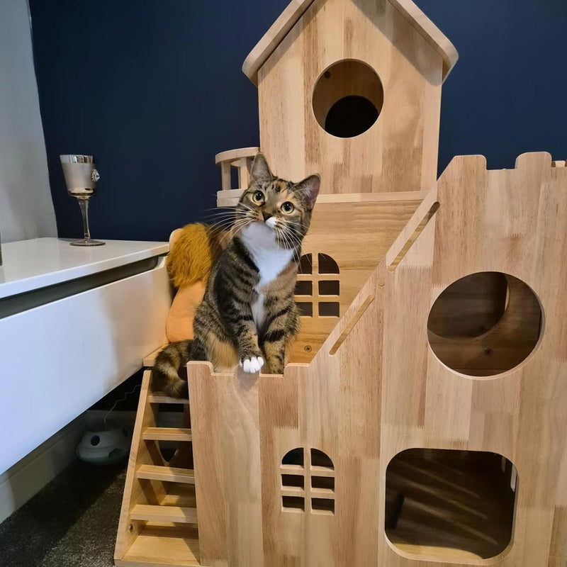 Cat Tree & Cat Tower | Rubberwood | Free shipping over AU & US | PETOMG ...