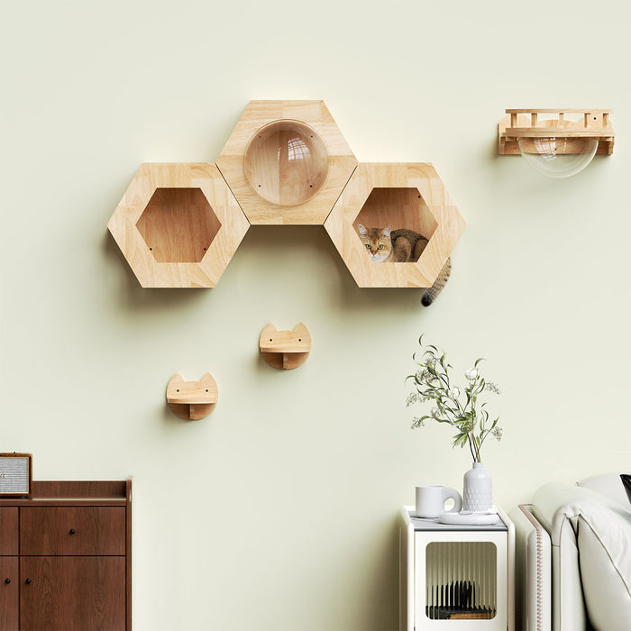 Cat Wall Set for Large Cat, Cat Wall Shelves | PETOMG | Rubberwood – petomg