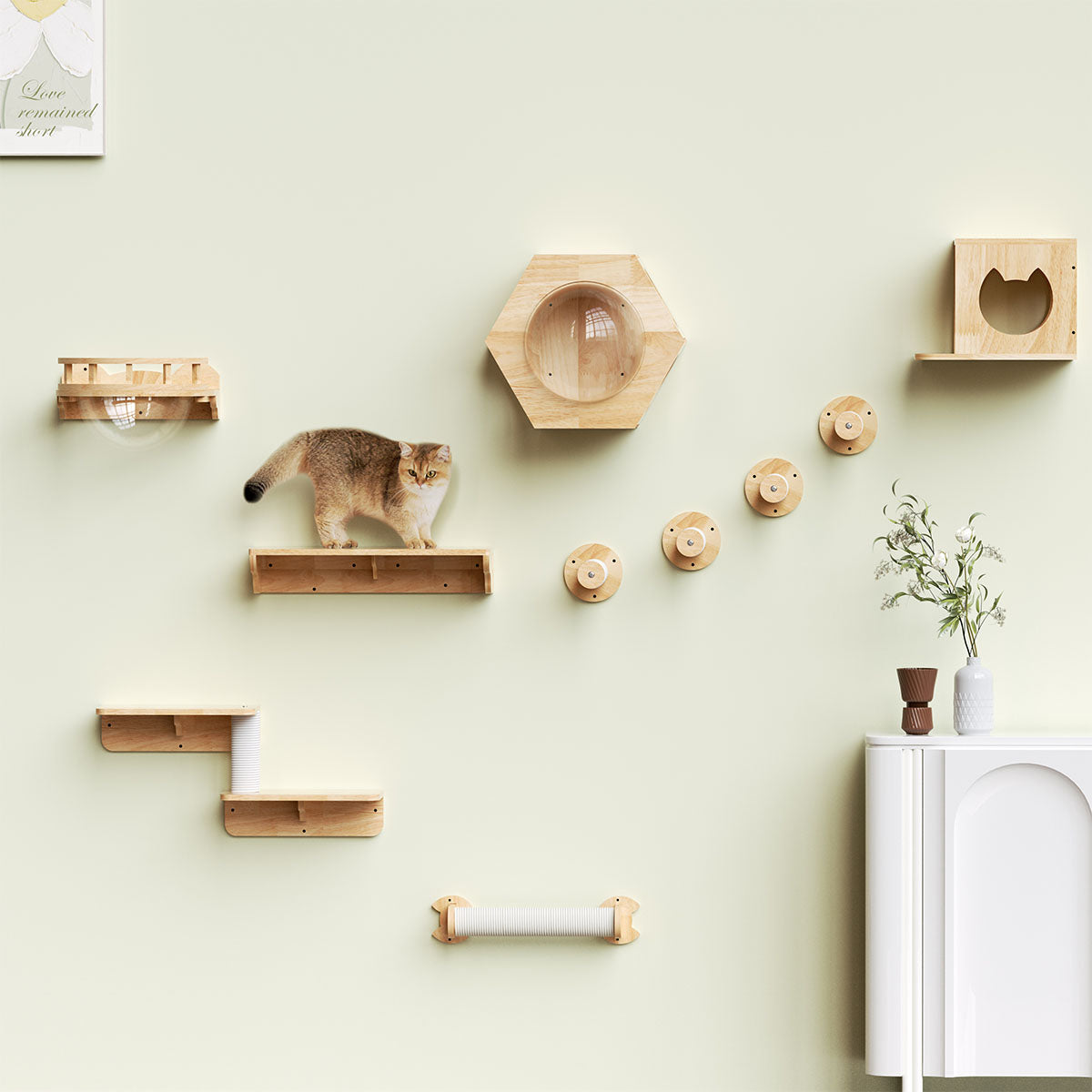 Cat Wall Furniture, Cat Shelves, Corner Series | PETOMG | Rubberwood ...