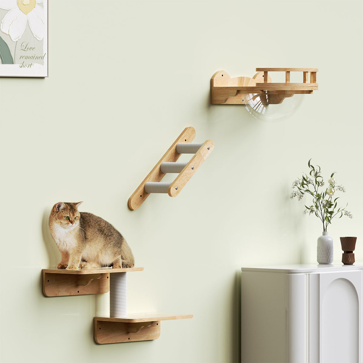 Cat Wall Set for Large Cat, Cat Wall Shelves | PETOMG | Rubberwood – Petomg