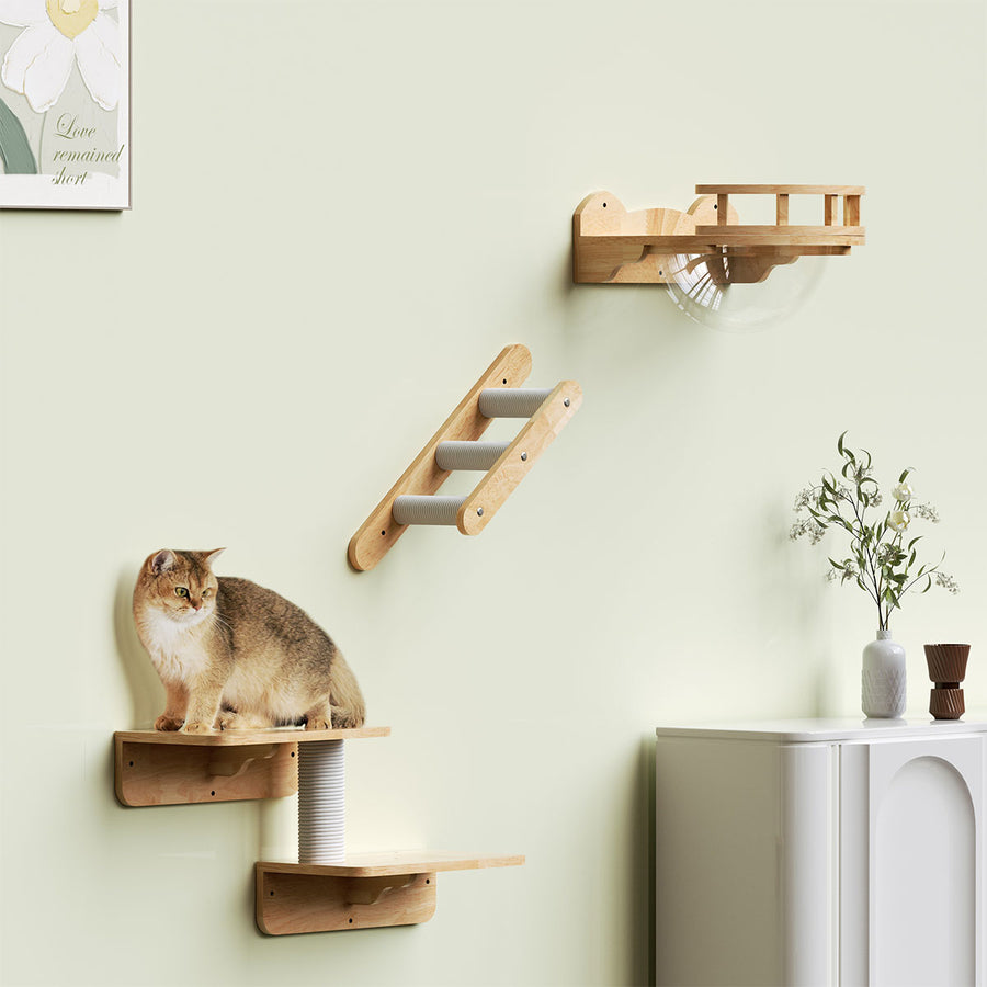 Cat Wall Set for Large Cat, Cat Wall Shelves | PETOMG | Rubberwood – petomg