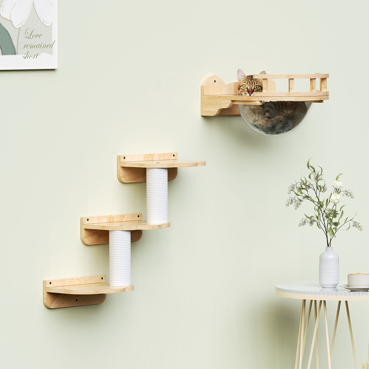 Wall Mounted Cat Shelves, Cat Perch, Cat Wall Value Set | PETOMG – Petomg
