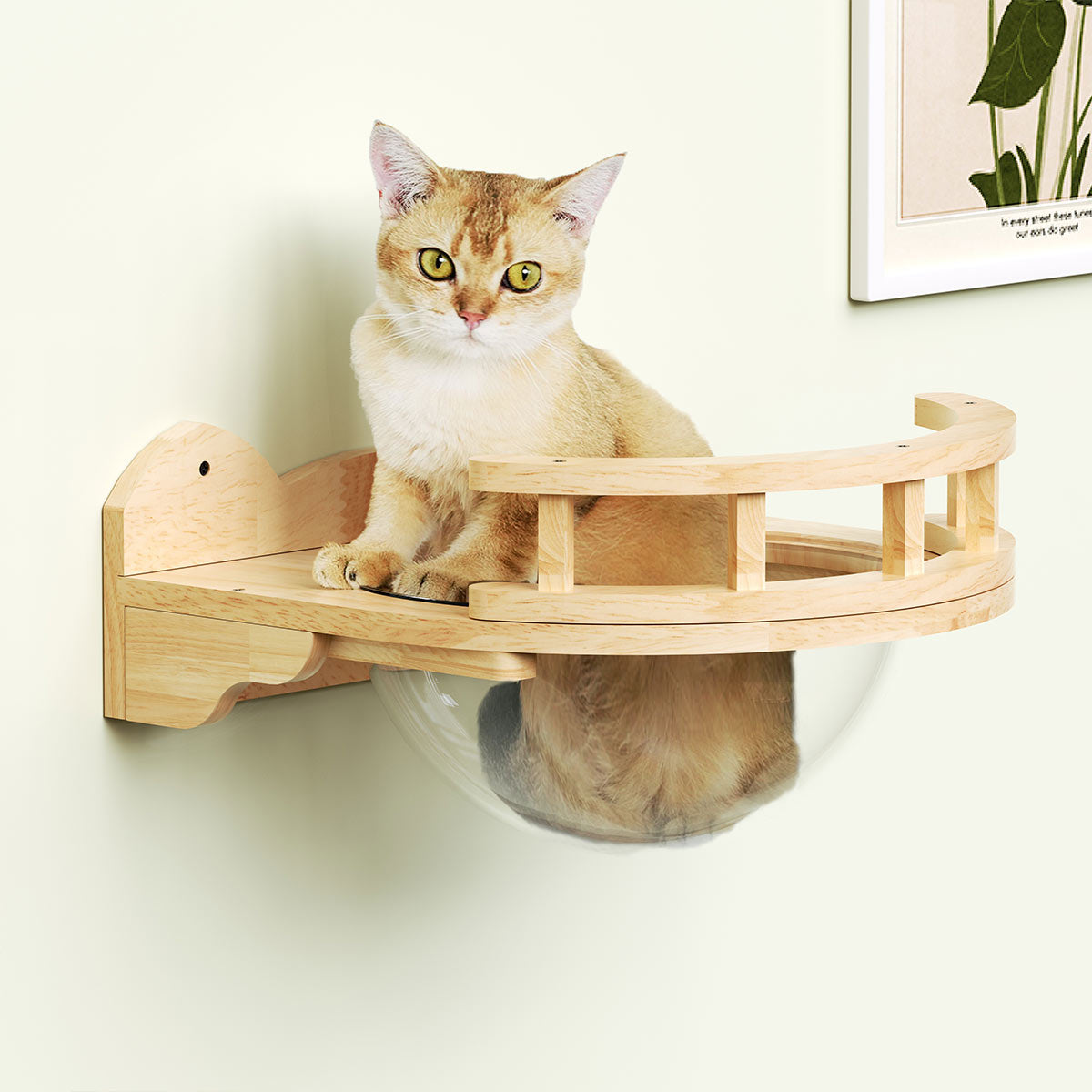 PETOMG Cat Perch, Cat Space Capsule, Cat Bed Furniture, Cat Wall Mount ...