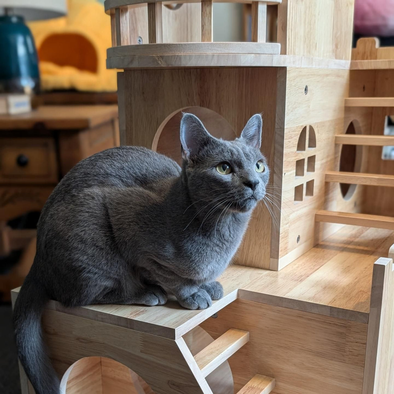 Cat Tree & Cat Tower | Rubberwood | Free shipping over AU & US | PETOMG ...
