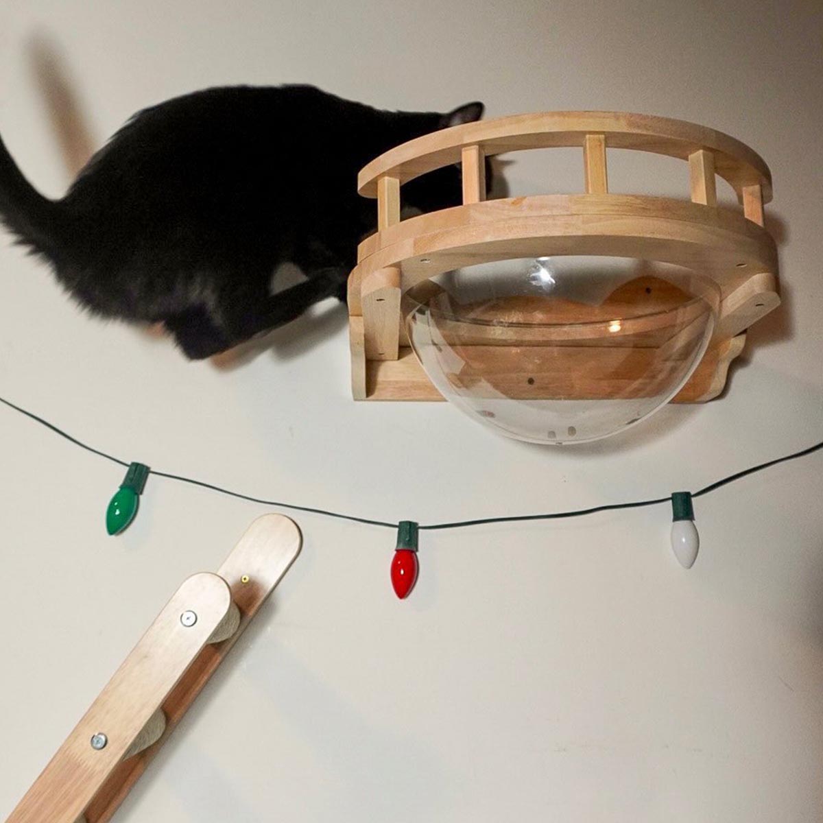 PETOMG Cat Perch, Cat Space Capsule, Cat Bed Furniture, Cat Wall Mount ...
