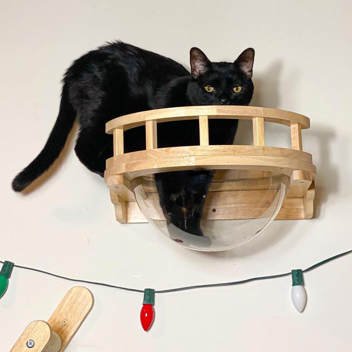 PETOMG Cat Perch, Cat Space Capsule, Cat Bed Furniture, Cat Wall Mount ...