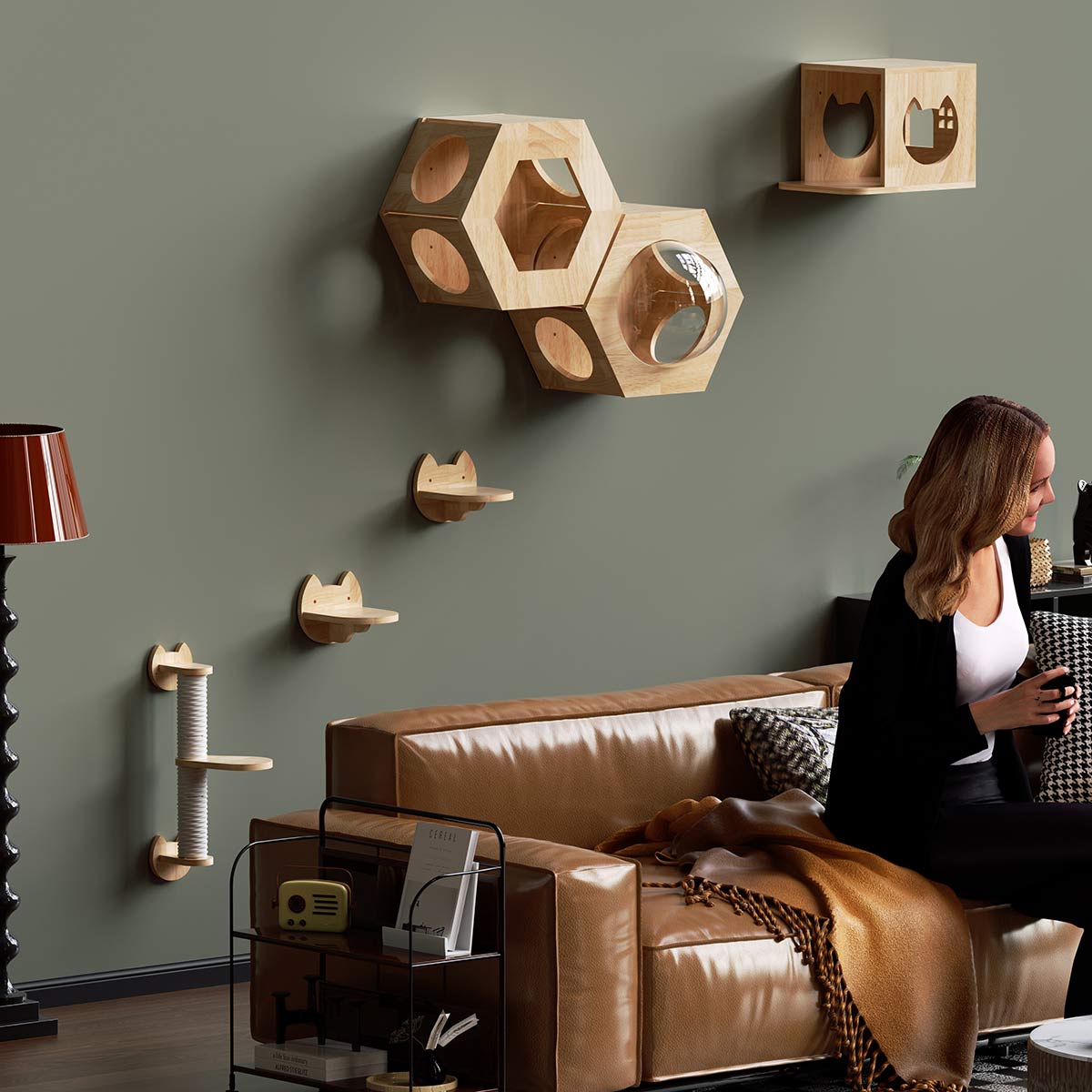 PETOMG Cat Perch, Cat Space Capsule, Cat Bed Furniture, Cat Wall Mount ...