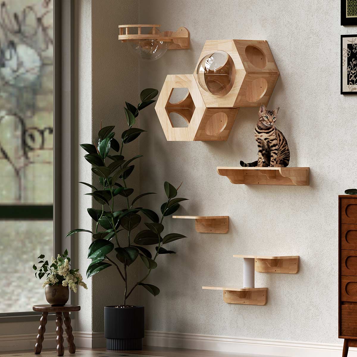 PETOMG Cat Perch, Cat Space Capsule, Cat Bed Furniture, Cat Wall Mount ...