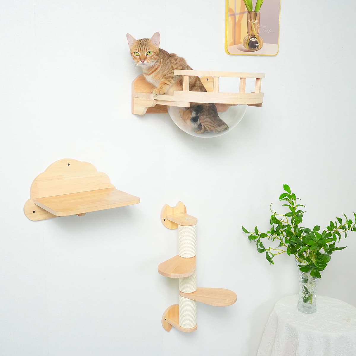 Cat Wall Playground – petomg