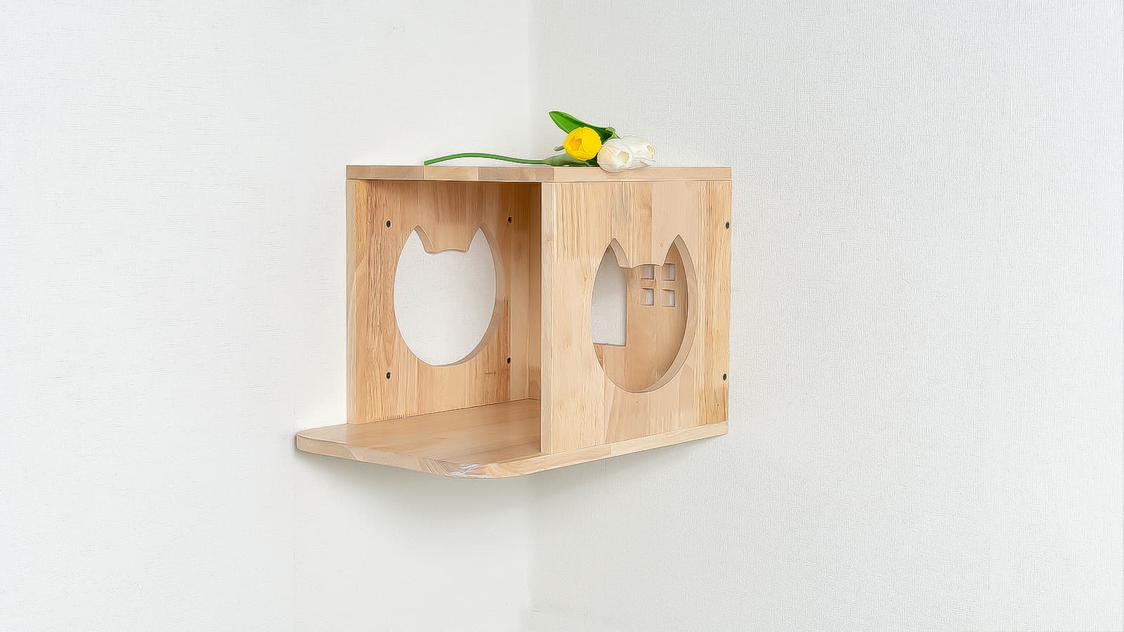 PETOMG Wall Mounted Cat House, Cat Wall Furniture, Cat Wall Bed| Rubbe ...