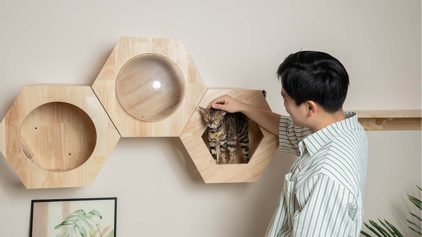 Wall Mounted Cat House, Cat Perch | Free shipping over AU & US | PETOMG ...