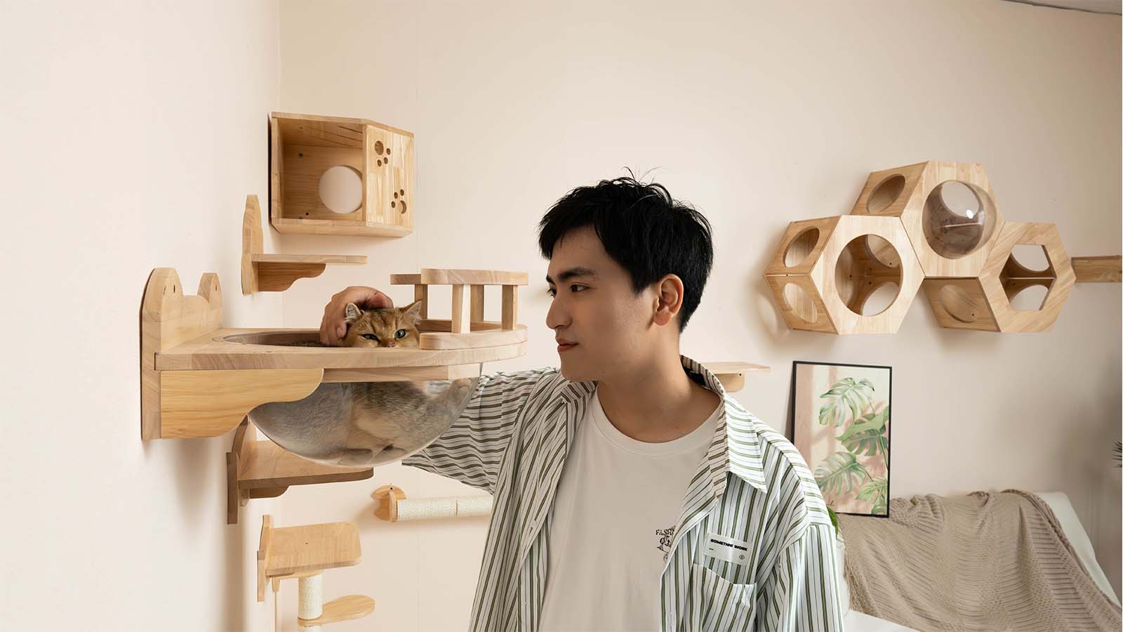 Cat Perch & Cat Shelves | Rubberwood | Free shipping over AU & US ...
