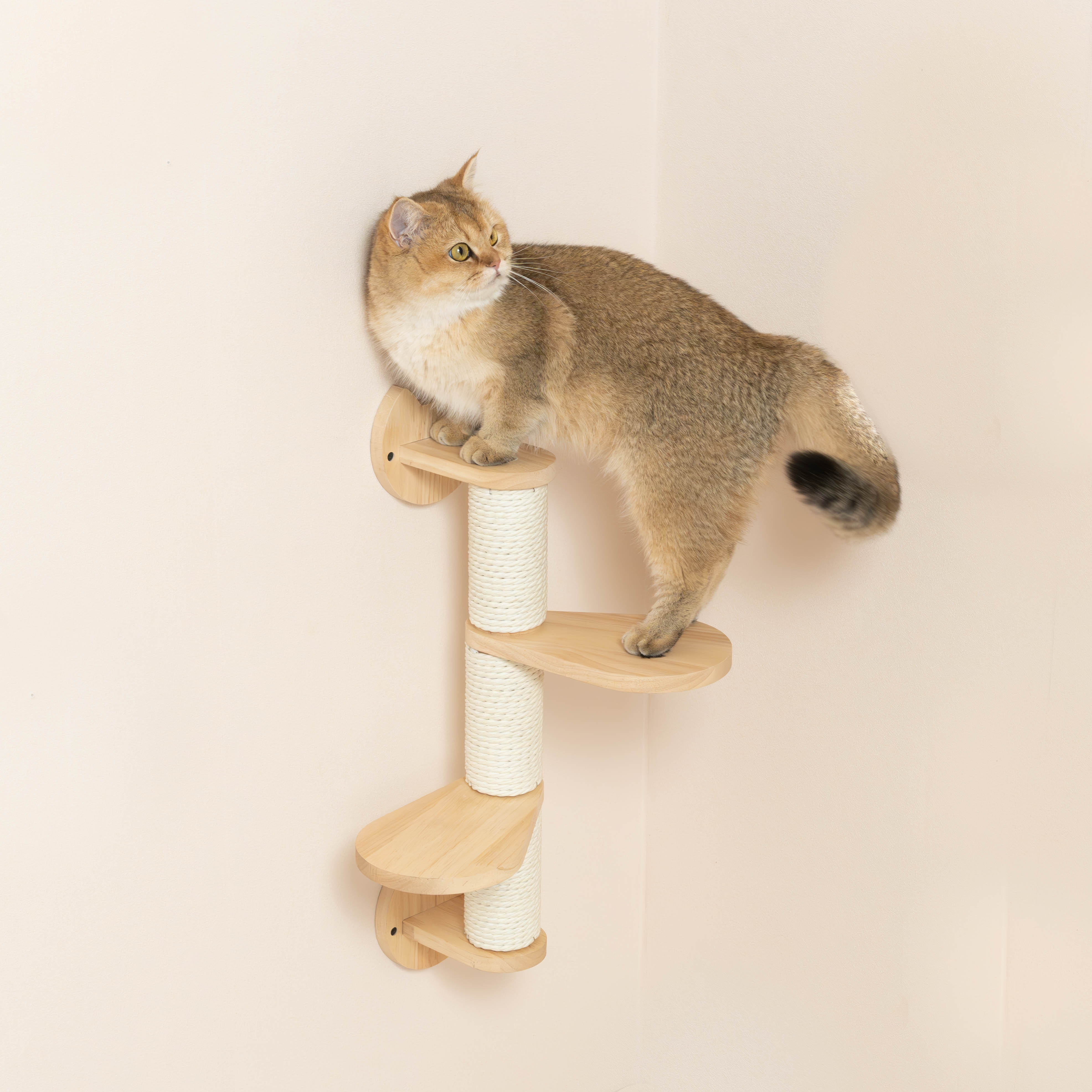 How to design your cat wall – petomg