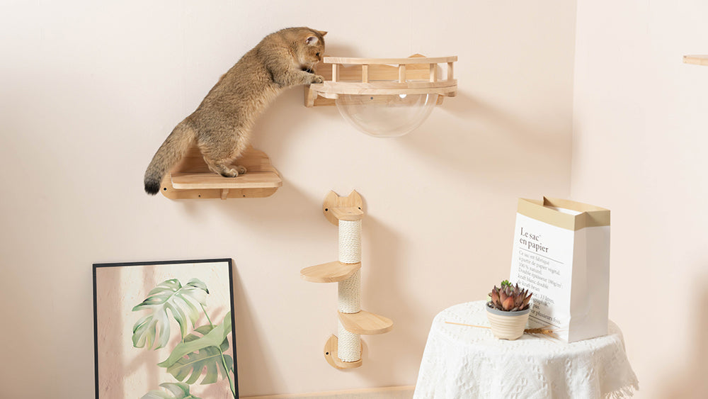 How to design your cat wall – petomg