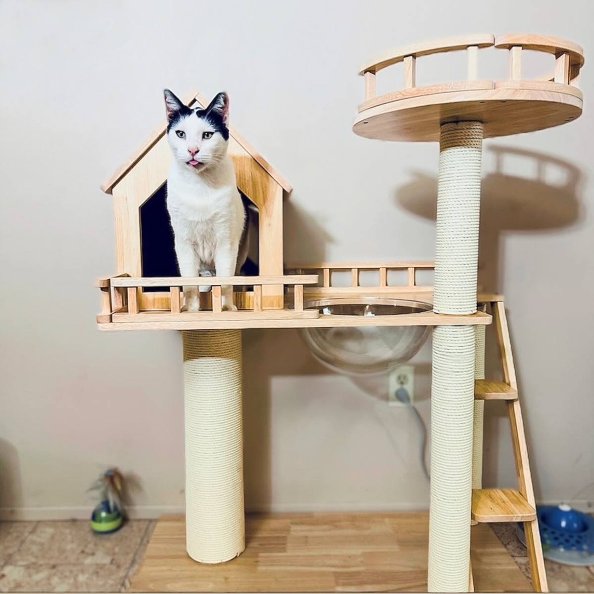 Cat Tree & Cat Tower | Rubberwood | Free shipping over AU & US | PETOMG ...