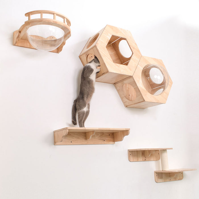 Cat Wall Set for Large Cat, Cat Wall Shelves | PETOMG | Rubberwood – petomg