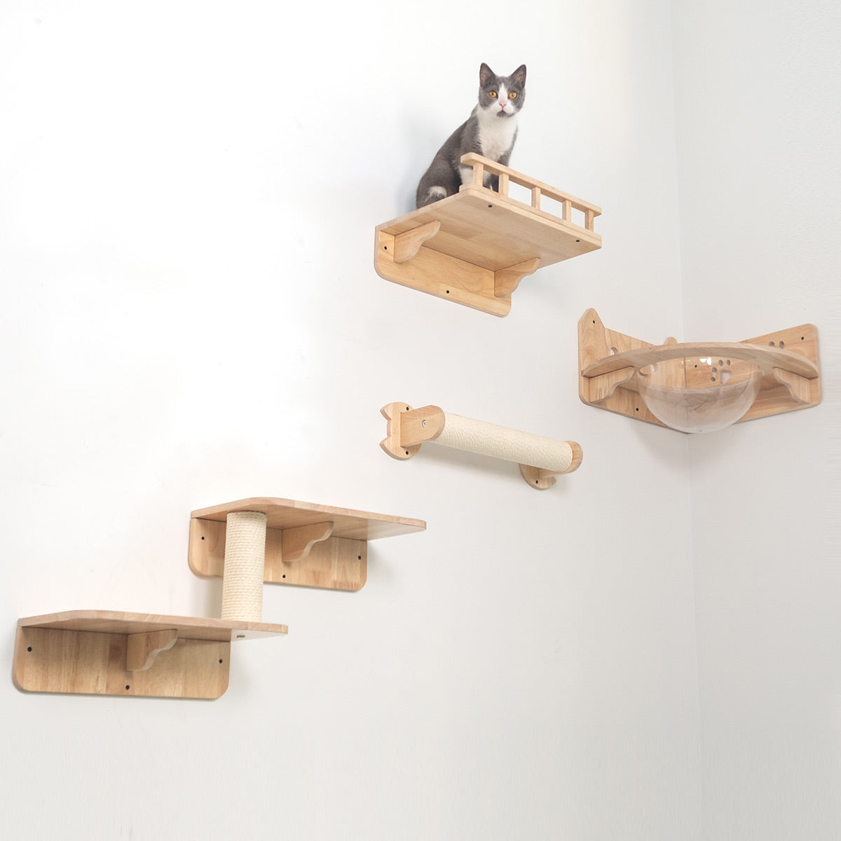 Cat Perch, Wall Mounted Spacecapsule (Corner), Cat Shelf | PETOMG – Petomg