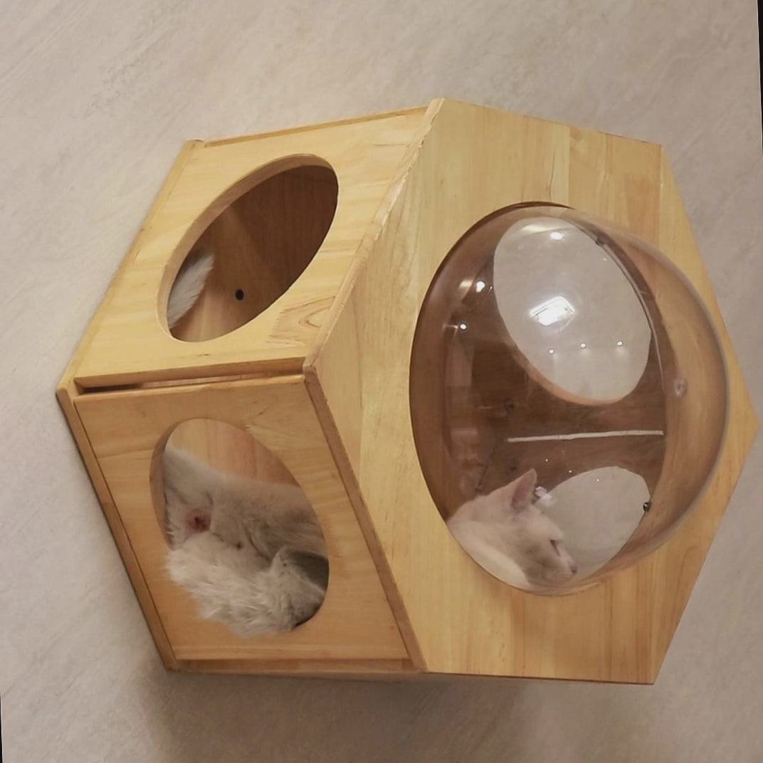 Large Hexagon Cat Wall Bubble House,CM24 – Petomg