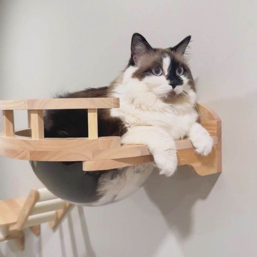 PETOMG Cat Perch, Cat Space Capsule, Cat Bed Furniture, Cat Wall Mount ...