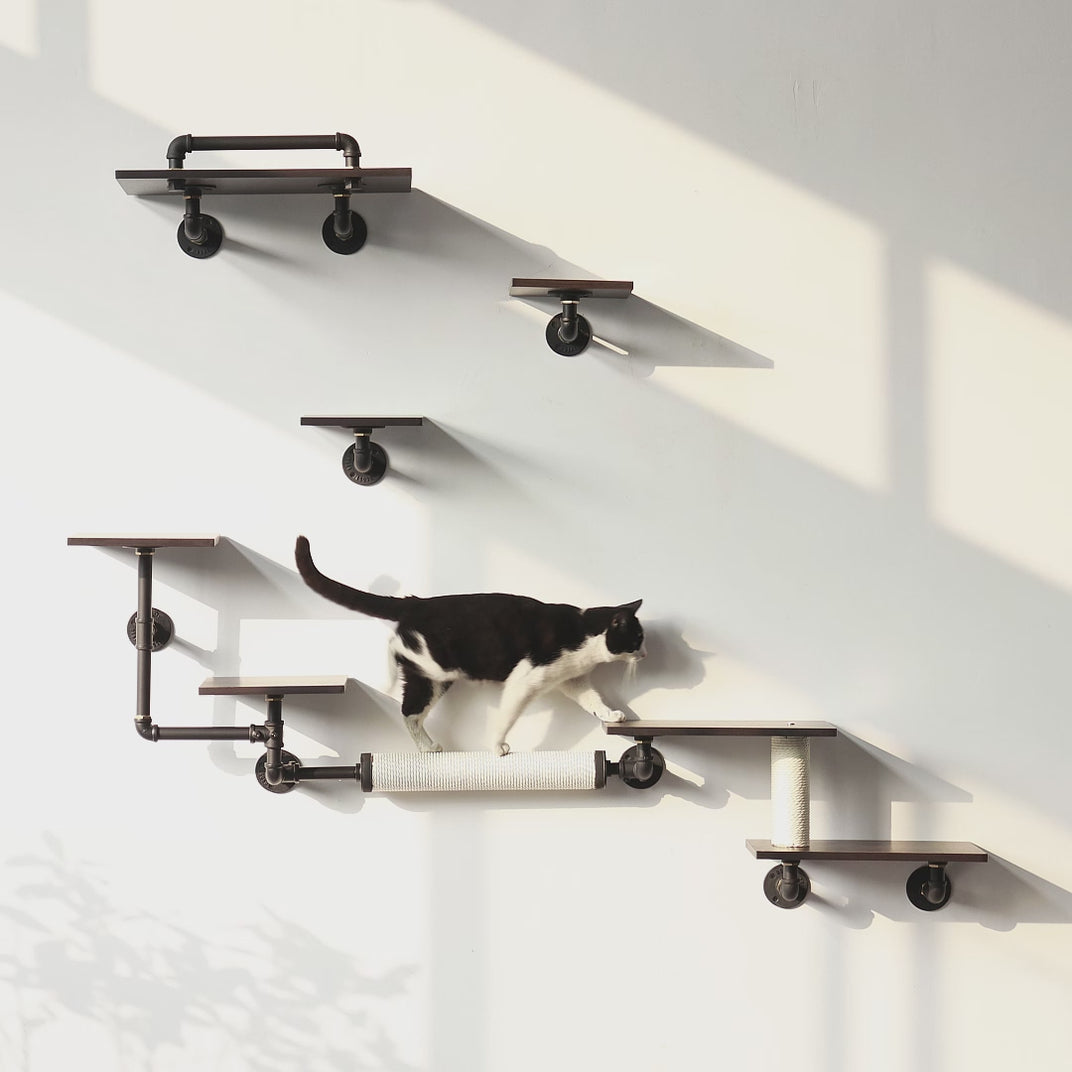 New Modern Cat Wall-set – Petomg