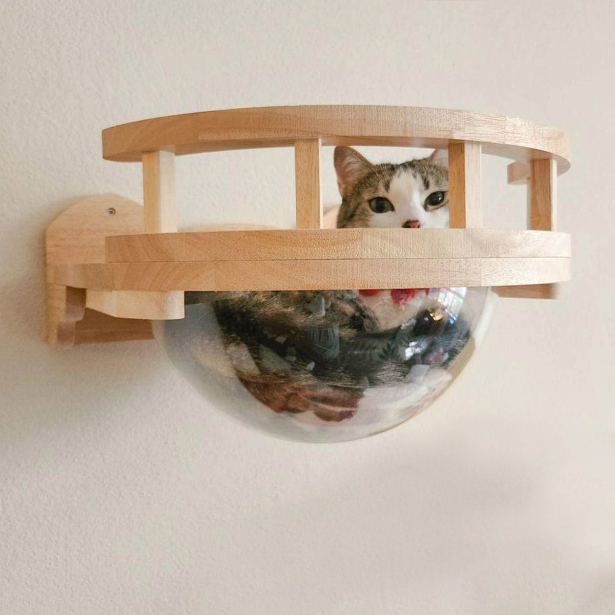 PETOMG Cat Perch, Cat Space Capsule, Cat Bed Furniture, Cat Wall Mount ...